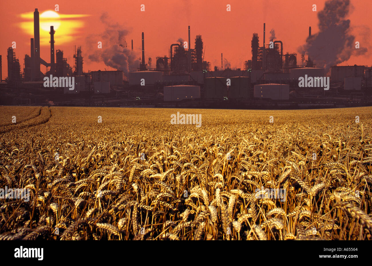 fertilizer,crop,bio,diversity,pollution,,agro,business,agriculture ...