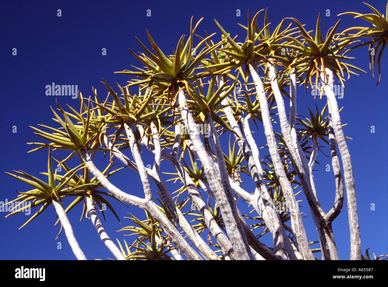 Geography quiver hi-res stock photography and images - Alamy