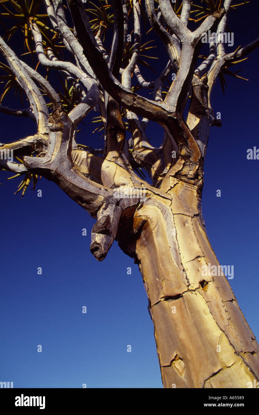 Nambia patterns hi-res stock photography and images - Alamy