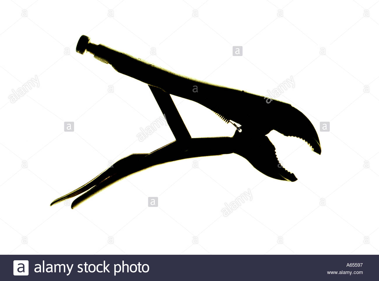 Mole Grip Stock Photos & Mole Grip Stock Images - Alamy