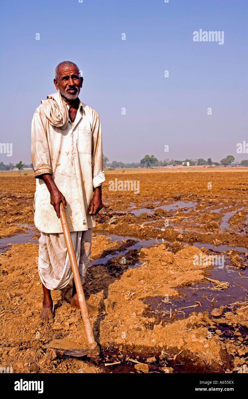 Farmer Ploughing Field Traditional Way High Resolution Stock ...