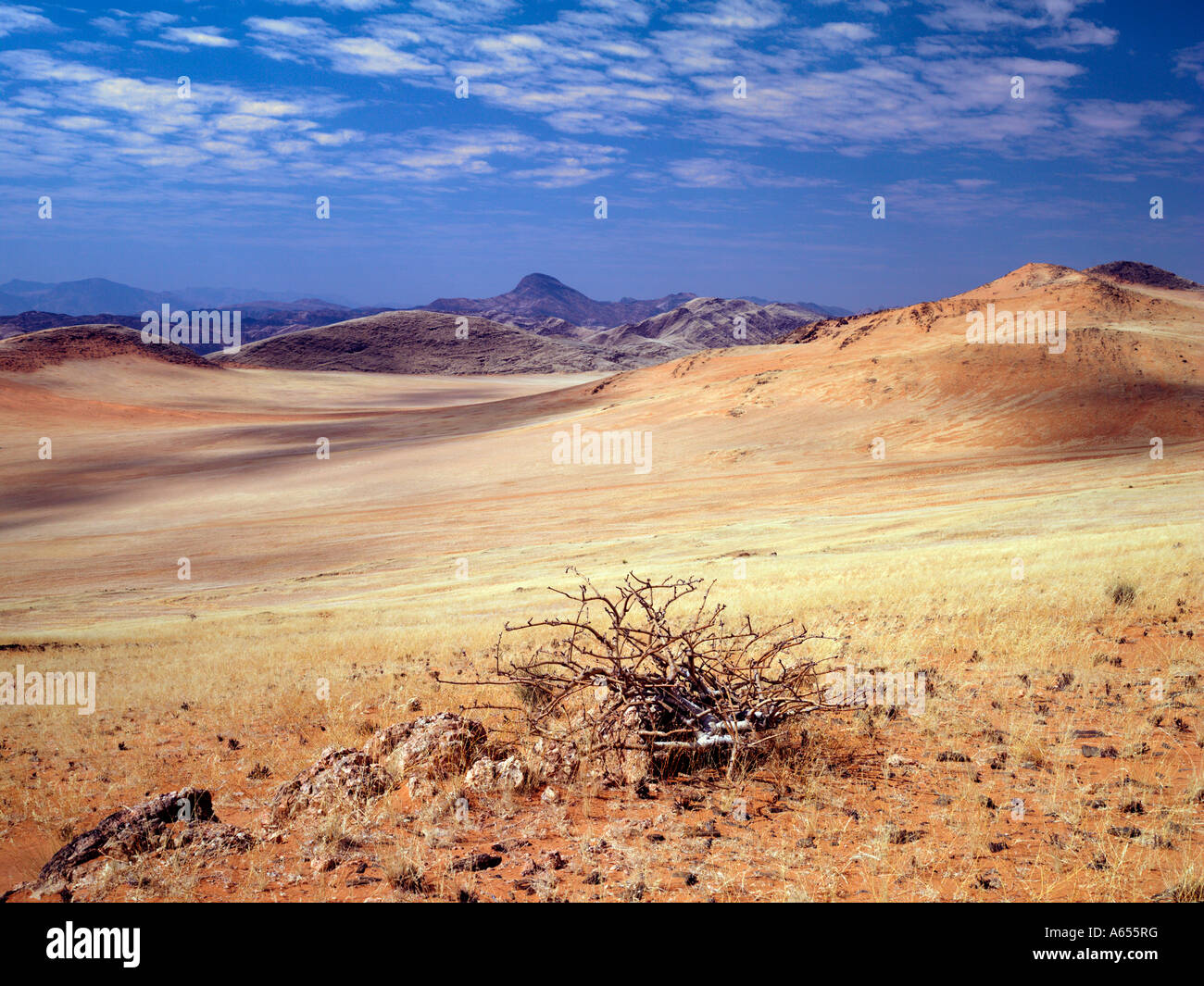 Set in a desert landscape Hartmann's Valley in remote northwest Namibia ...