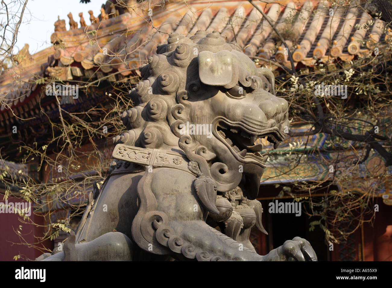 Lion Statue in front of Lama Temple, the most famous Tibetan Buddhist ...