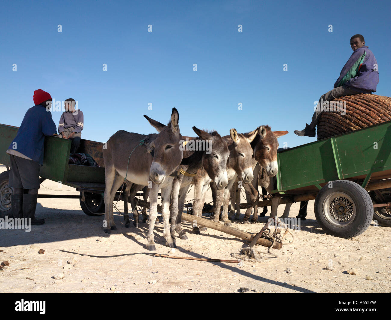 Donkeys and carts outside Oshakati A locally made granary made of ...