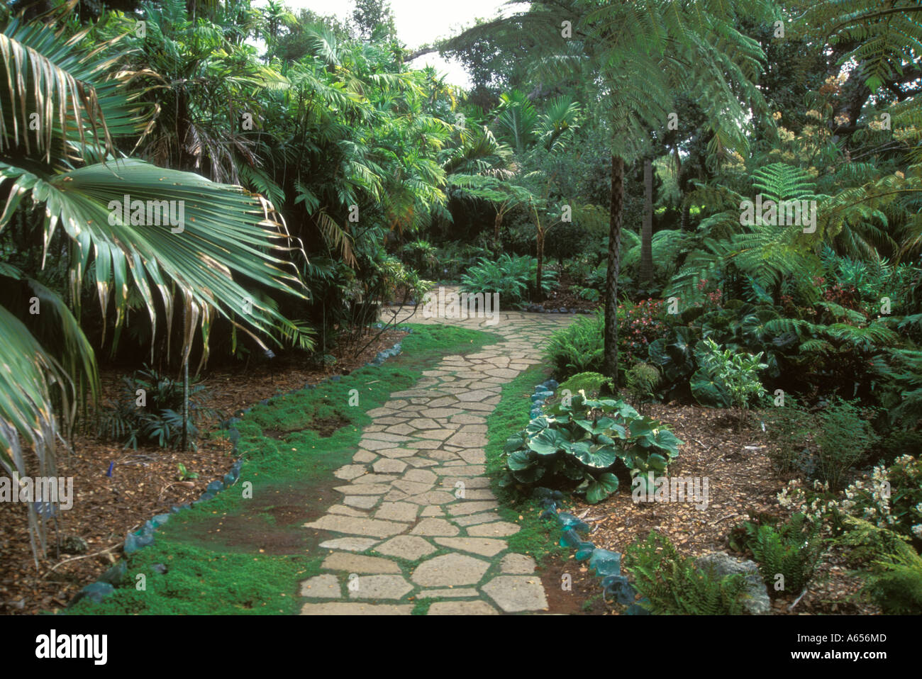 Lotusland hi-res stock photography and images - Alamy