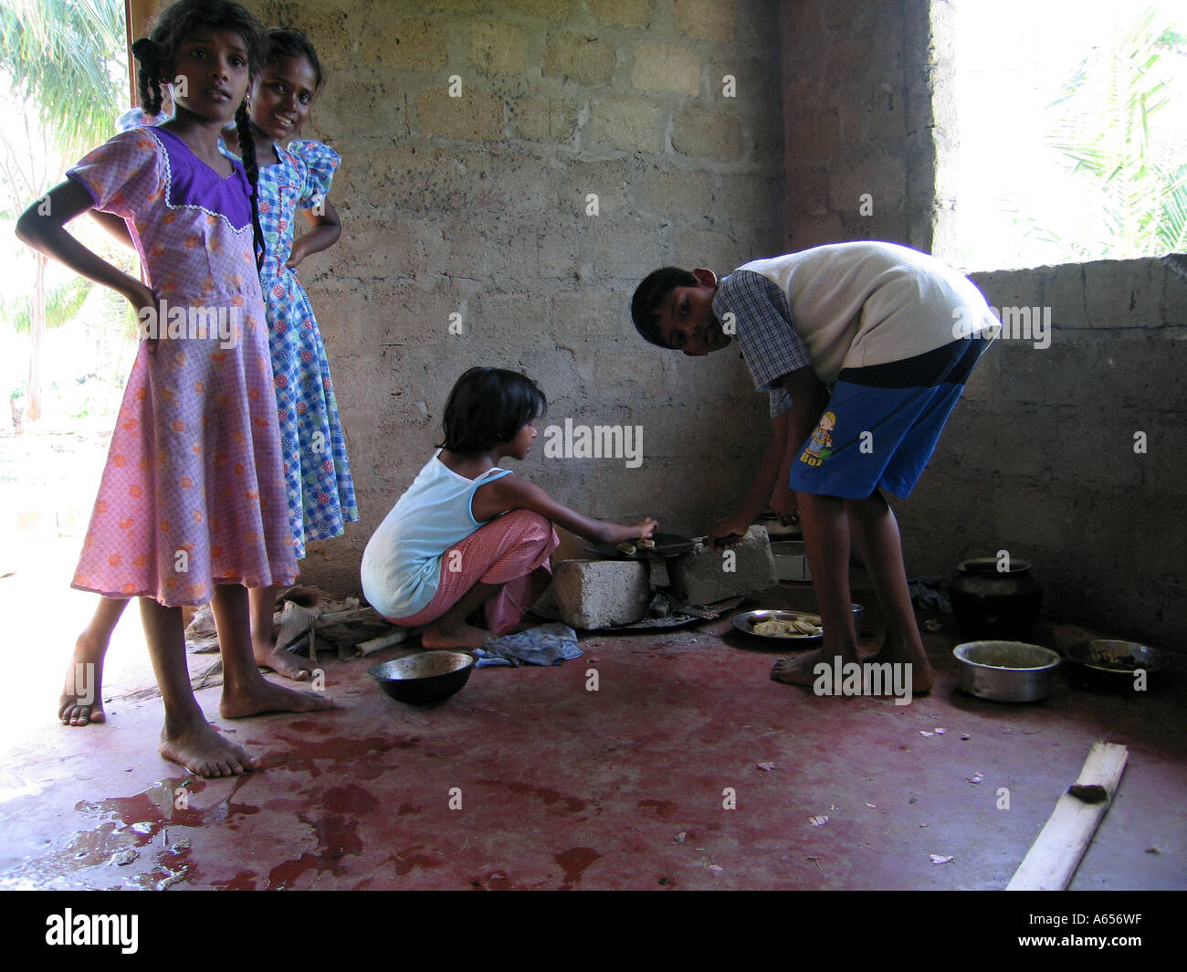 Sri Lanka, Tamil Children Preparing a Meal in Trincomalee Stock Photo ...
