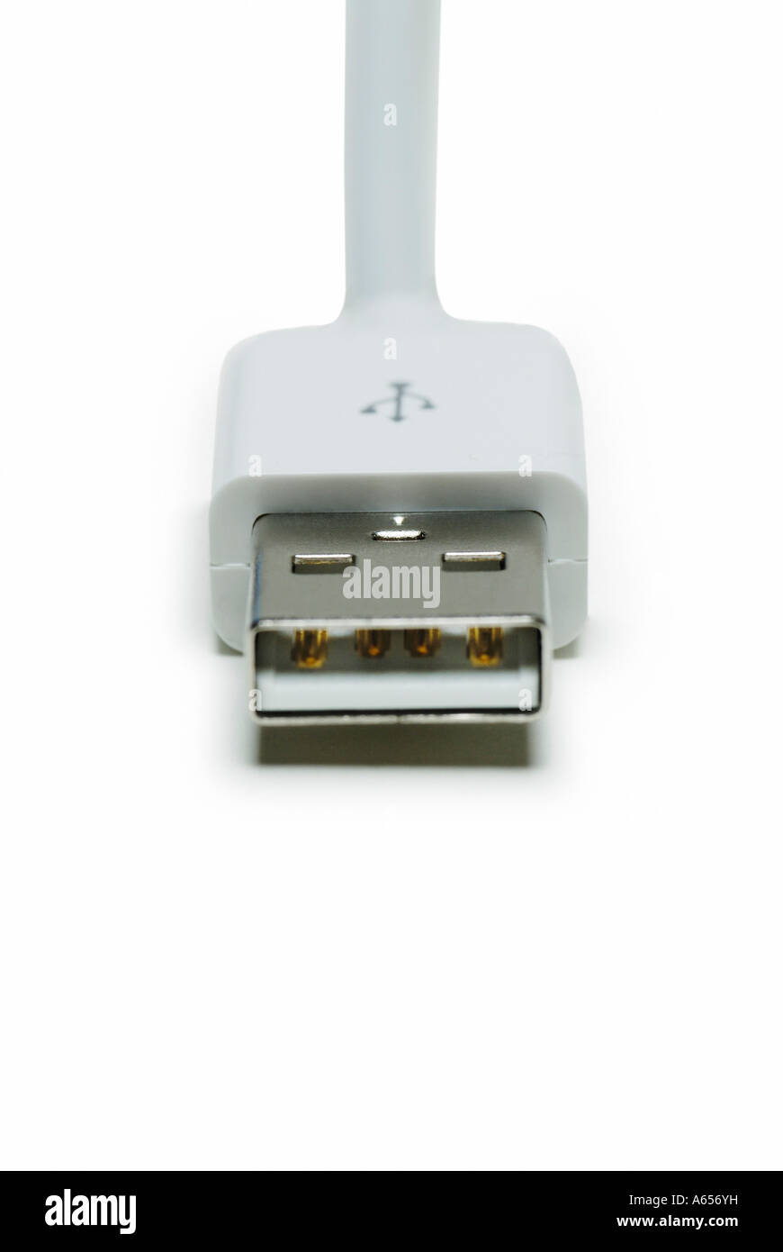 USB CORD ON WHITE BACKGROUND Stock Photo - Alamy