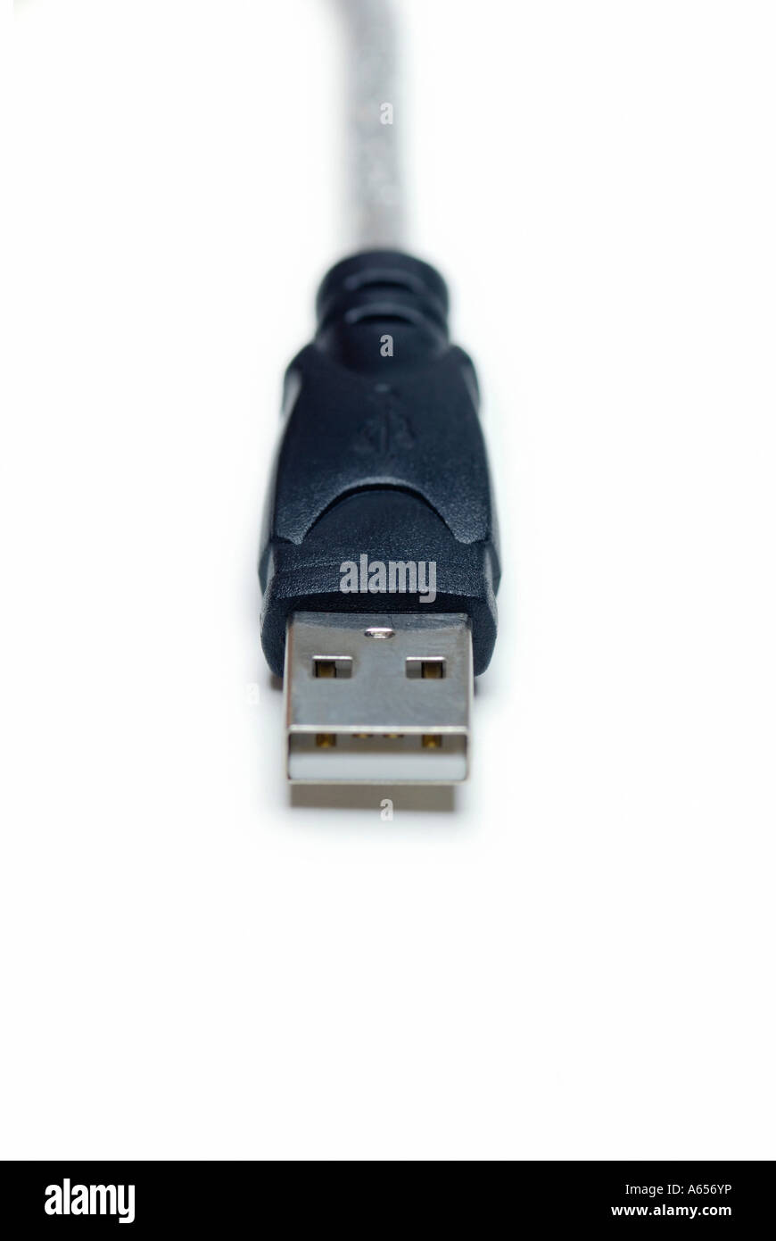 USB CORD ON WHITE BACKGROUND Stock Photo - Alamy