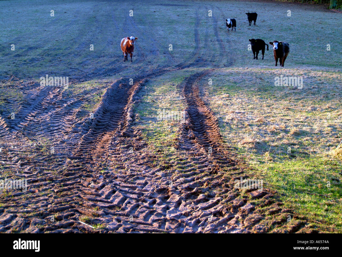 Faugh cumbria hi-res stock photography and images - Alamy