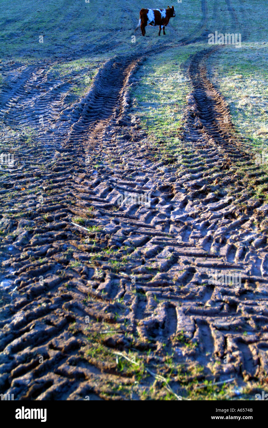 Faugh cumbria hi-res stock photography and images - Alamy