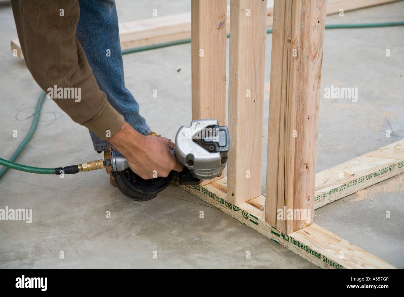 Immigrant Construction Worker Framing the House Stock Photo - Alamy