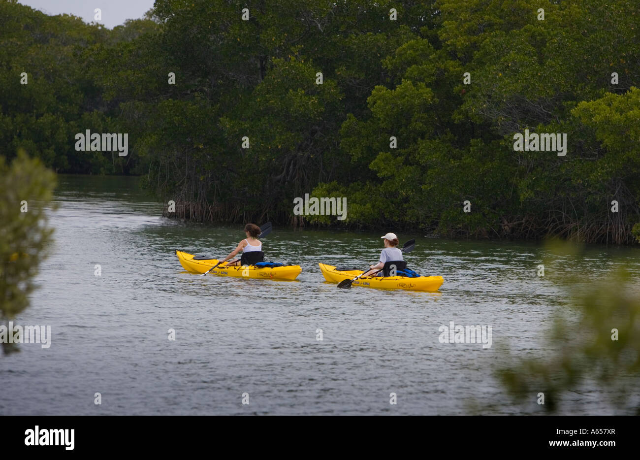Two women paddling kayaks Stock Photo - Alamy