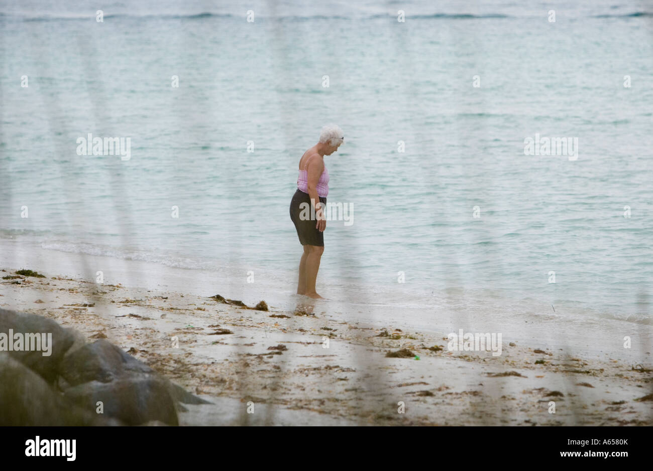 Elderly woman looking for shells Stock Photo - Alamy