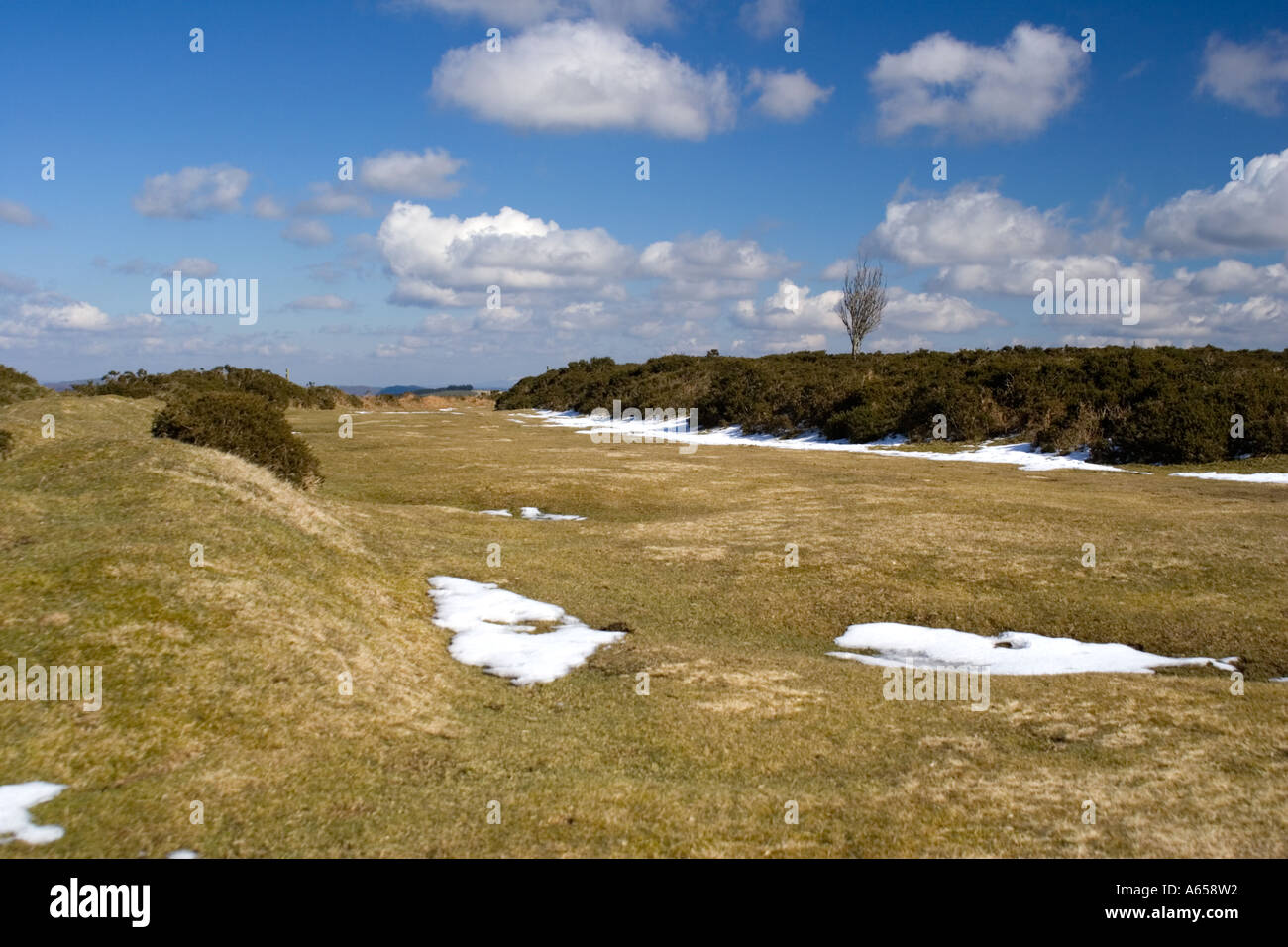 Hergest Ridge, on the Offas Dyke footpath between Kington in ...