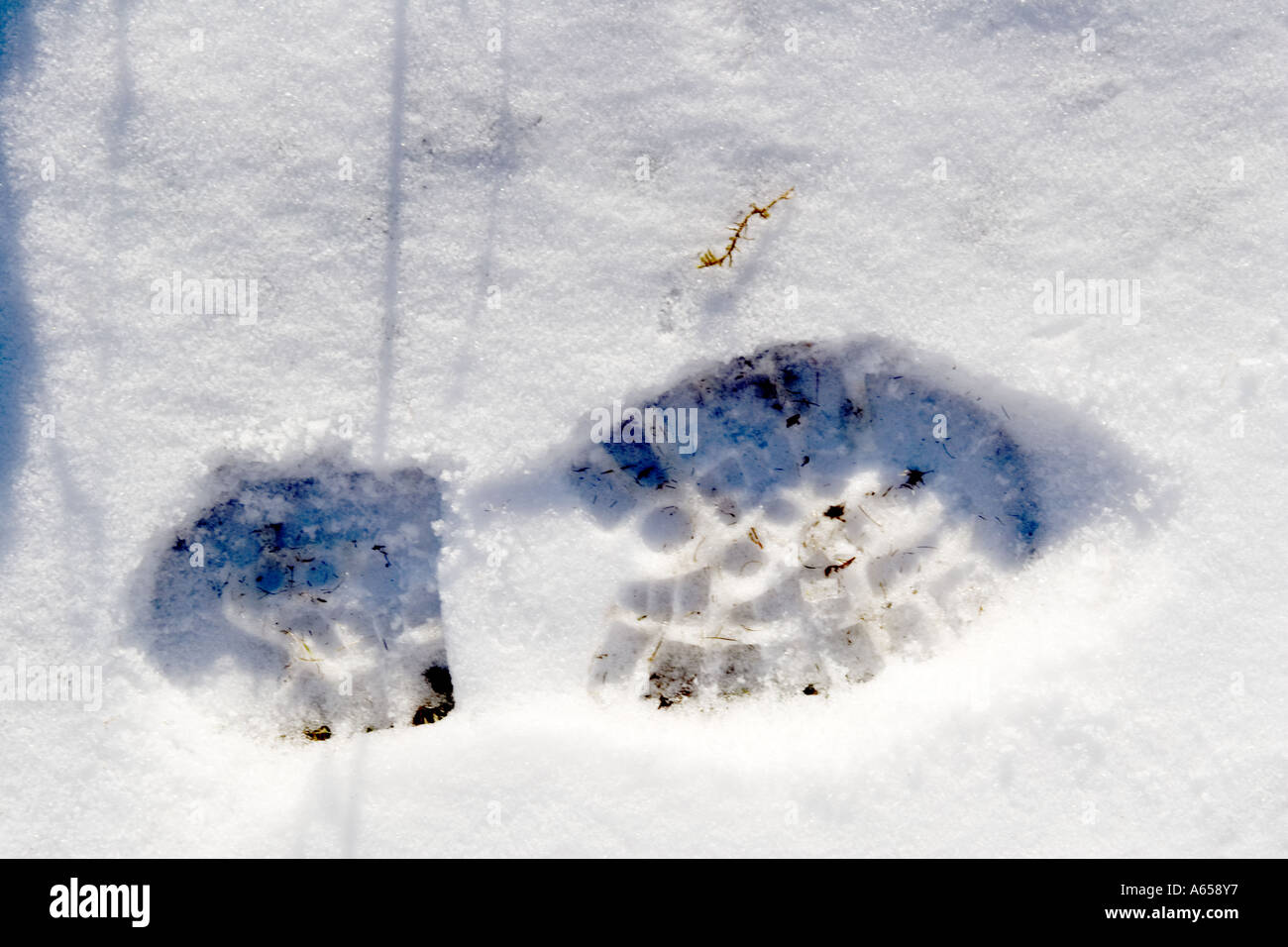 Kington herefordshire walker hi-res stock photography and images - Alamy