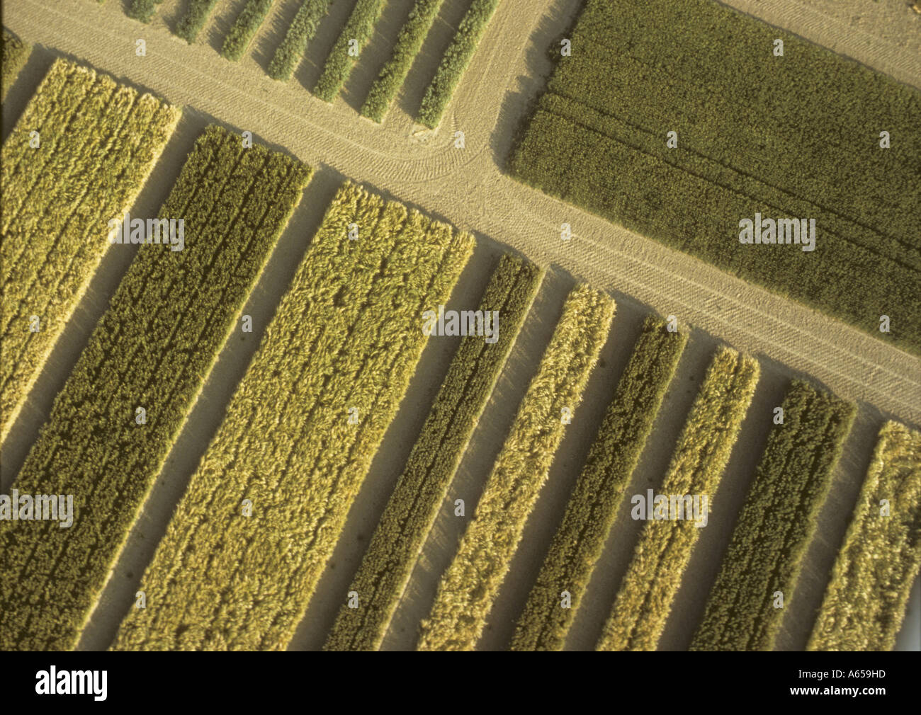 Aerial view of fields Stock Photo - Alamy