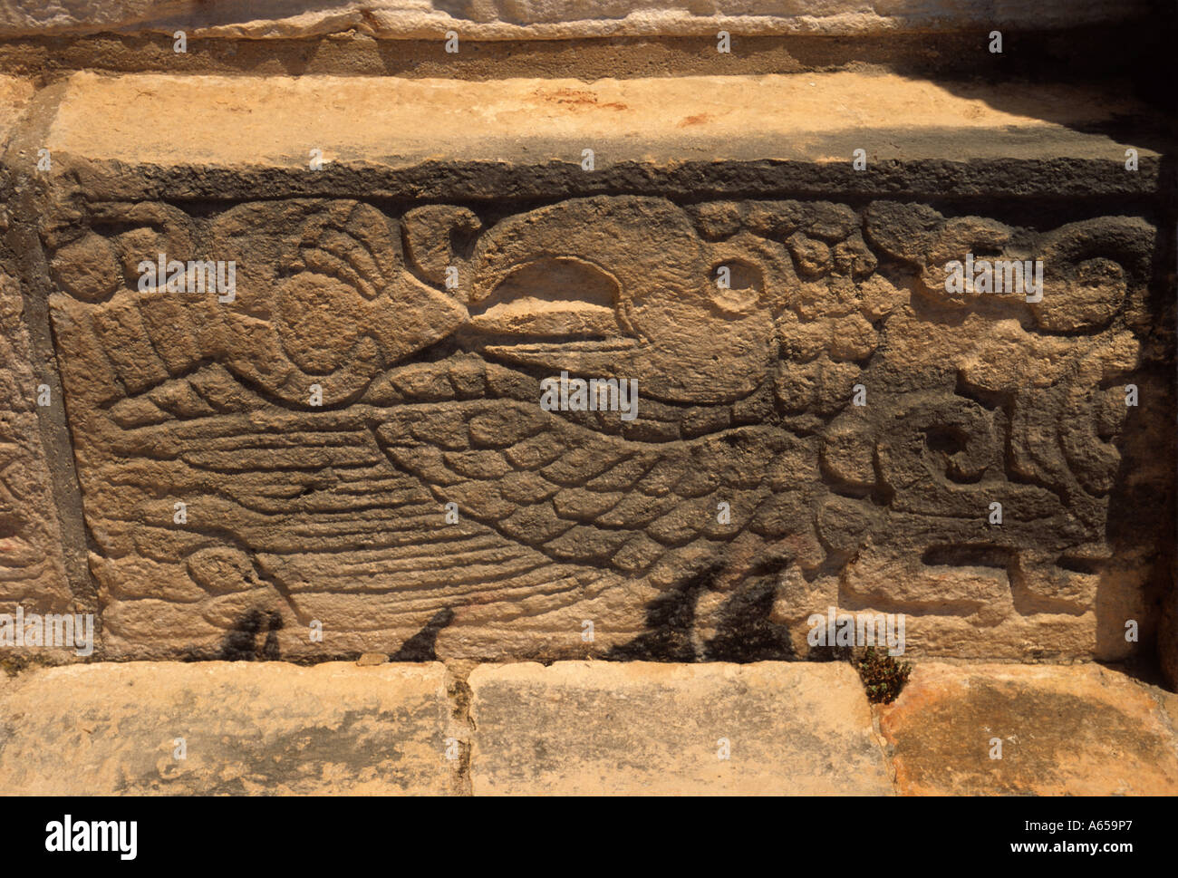 Maya Toltec serpent head carvings, Chichen Itza, Yucatan, Mexico Stock ...