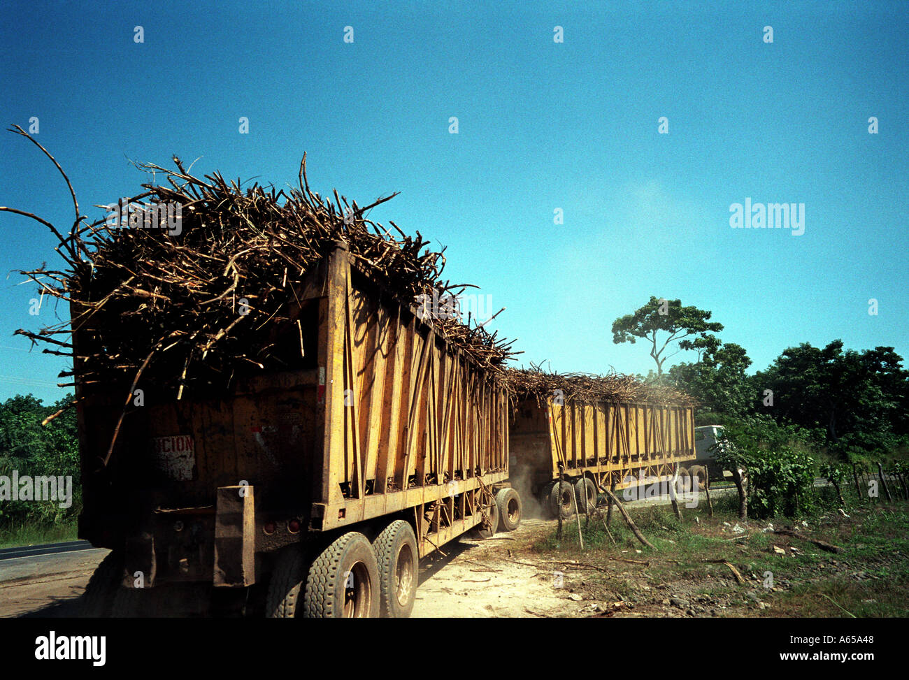 Sugarcane transport hi-res stock photography and images - Alamy