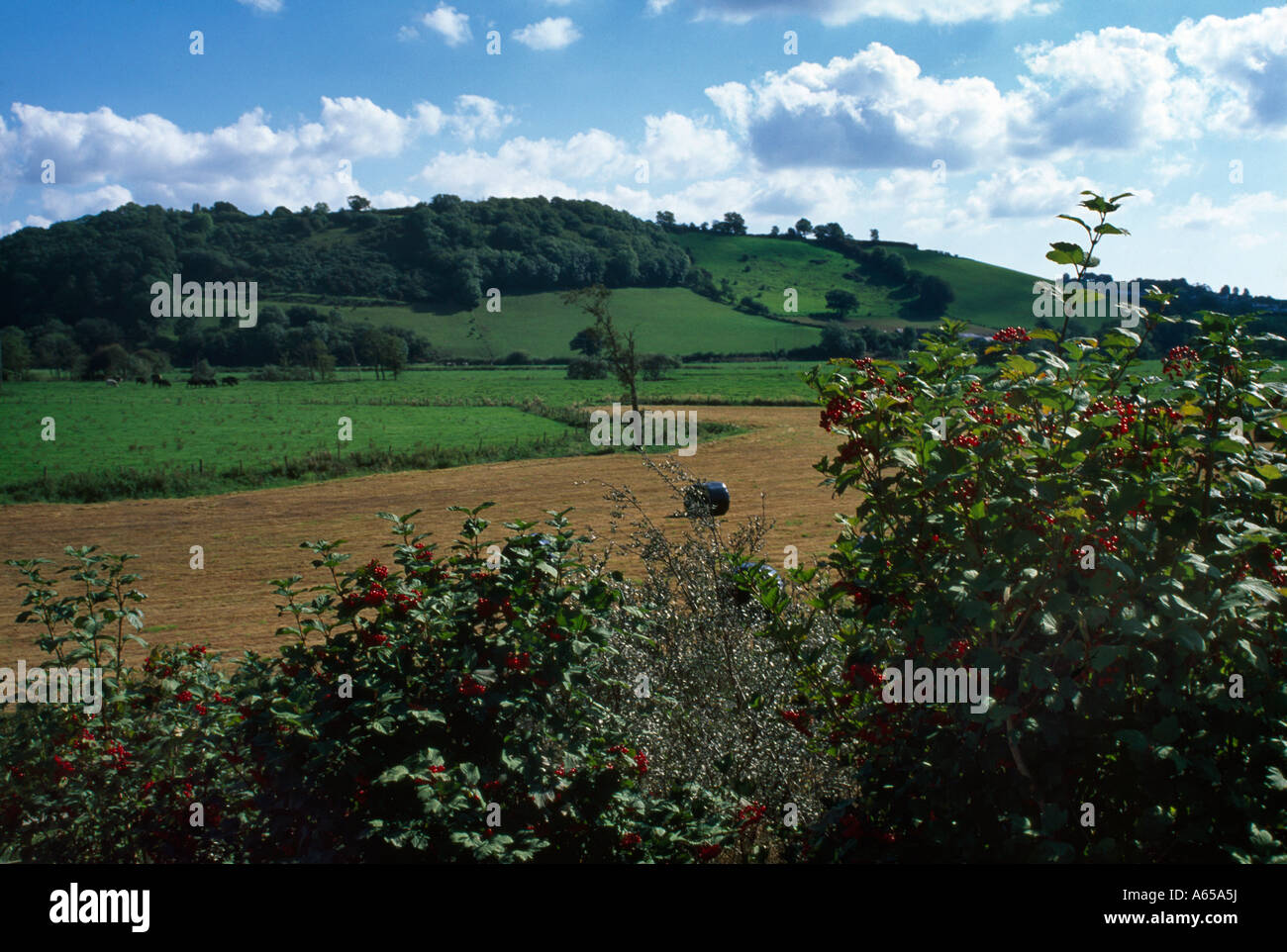 Lampeter wales hi-res stock photography and images - Alamy