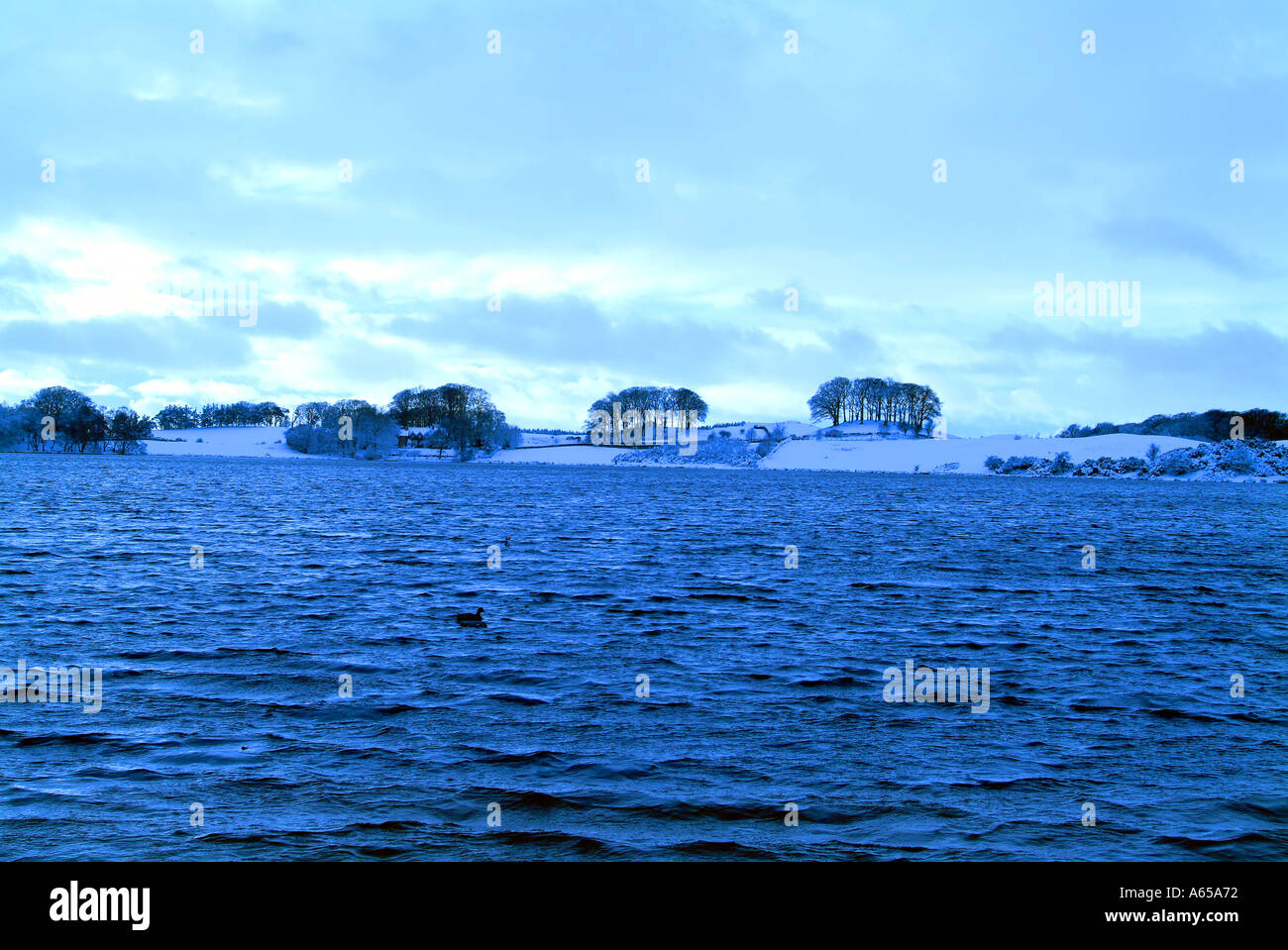 talkin tarn country park Stock Photo - Alamy