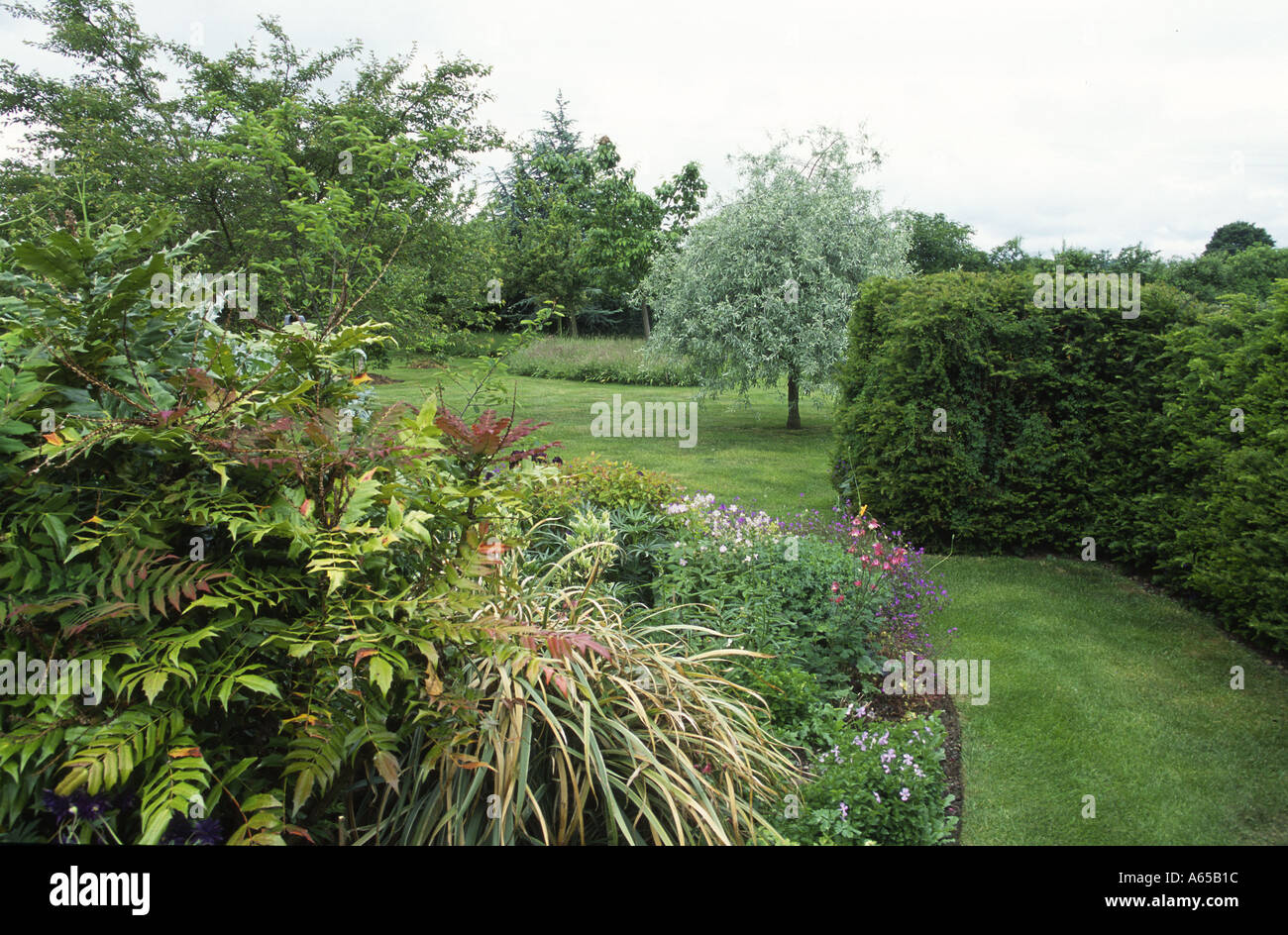 Curved hedge hi-res stock photography and images - Alamy