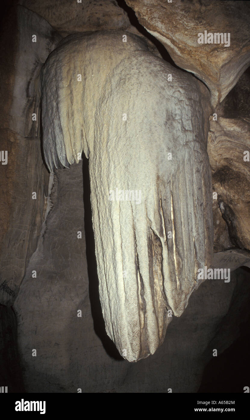 stalactite in Amboni Cave is the most extensive limestone cave in East ...