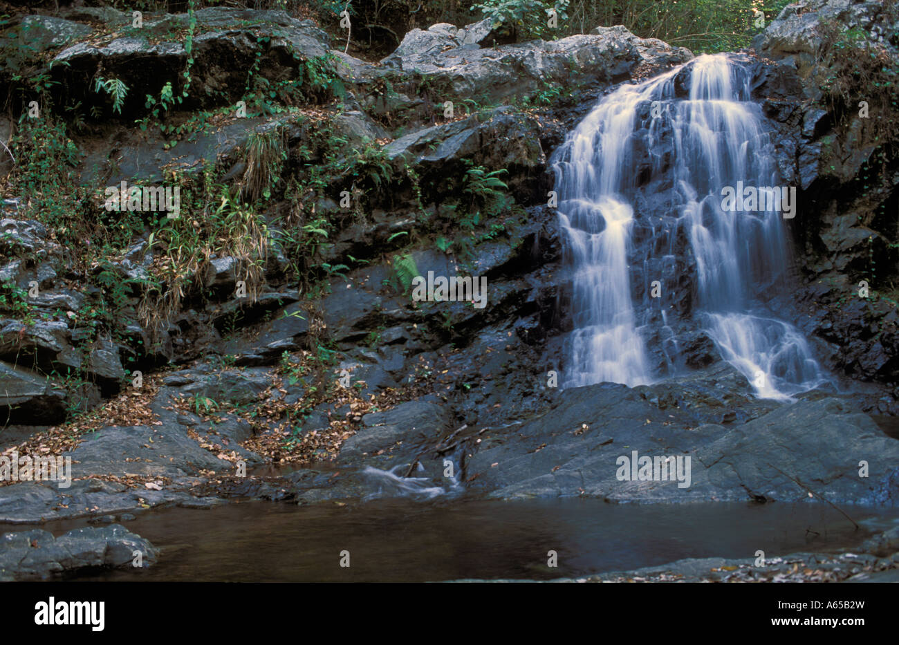 forest fringed waterfall Udzungwa Mountains National Park Tanzania ...