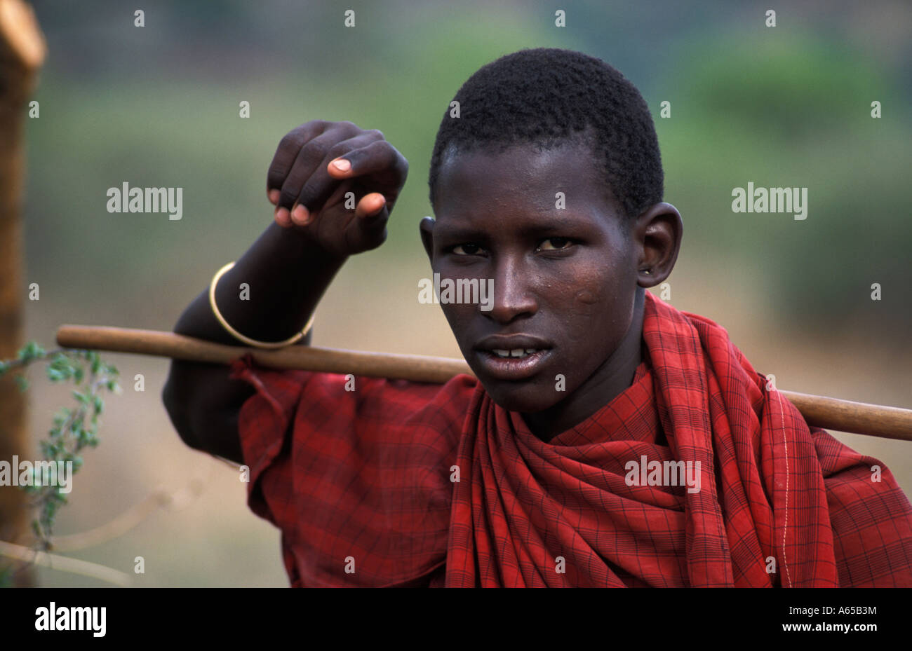 Maasai boy Longido Tanzania Stock Photo - Alamy