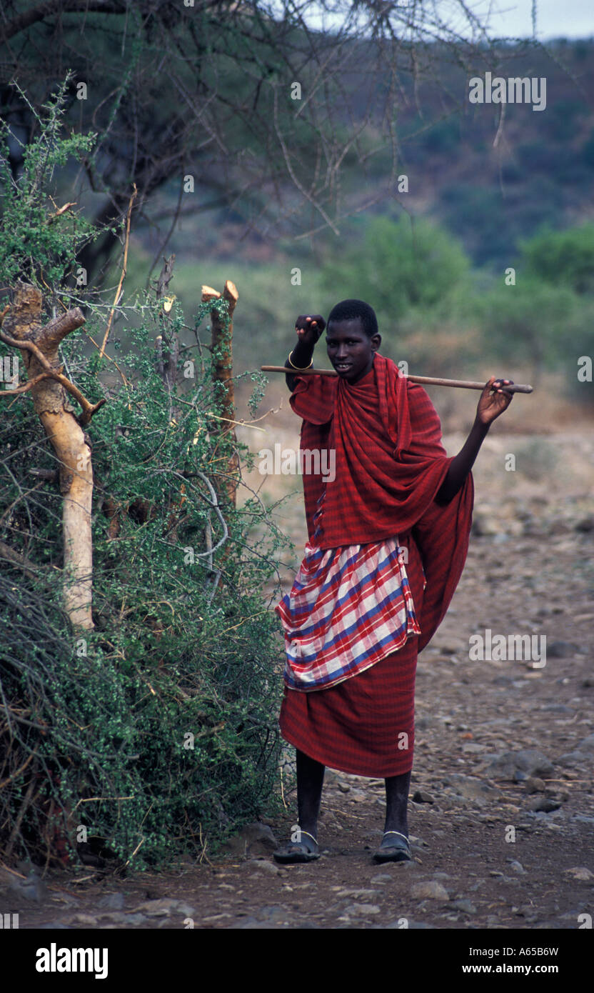 Maasai boy standing at the entrance of the village Tanzania Stock Photo ...