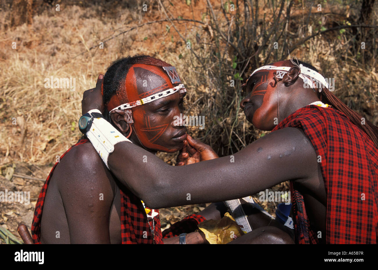 Maasai warriors painting their faces with red ochre in preparation of a ...