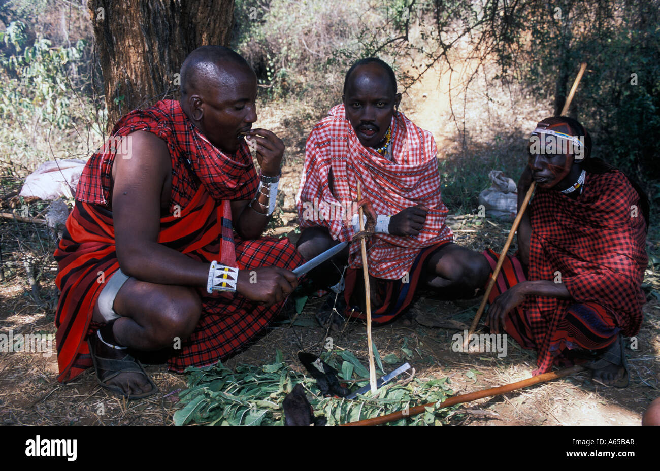 Maasai men eating grilled beef Tanzania Stock Photo - Alamy