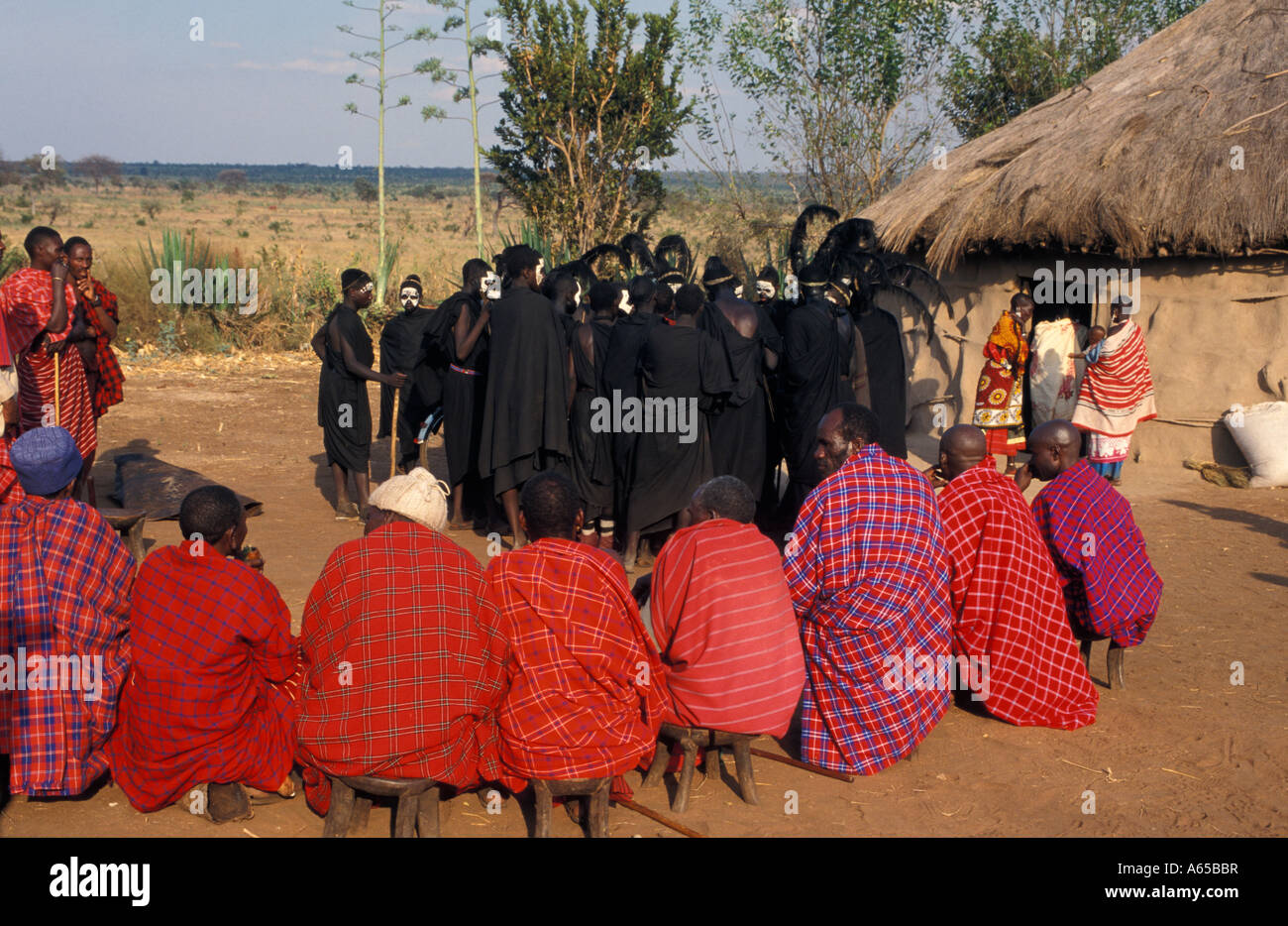 Maasai initiation ceremony Stock Photo - Alamy