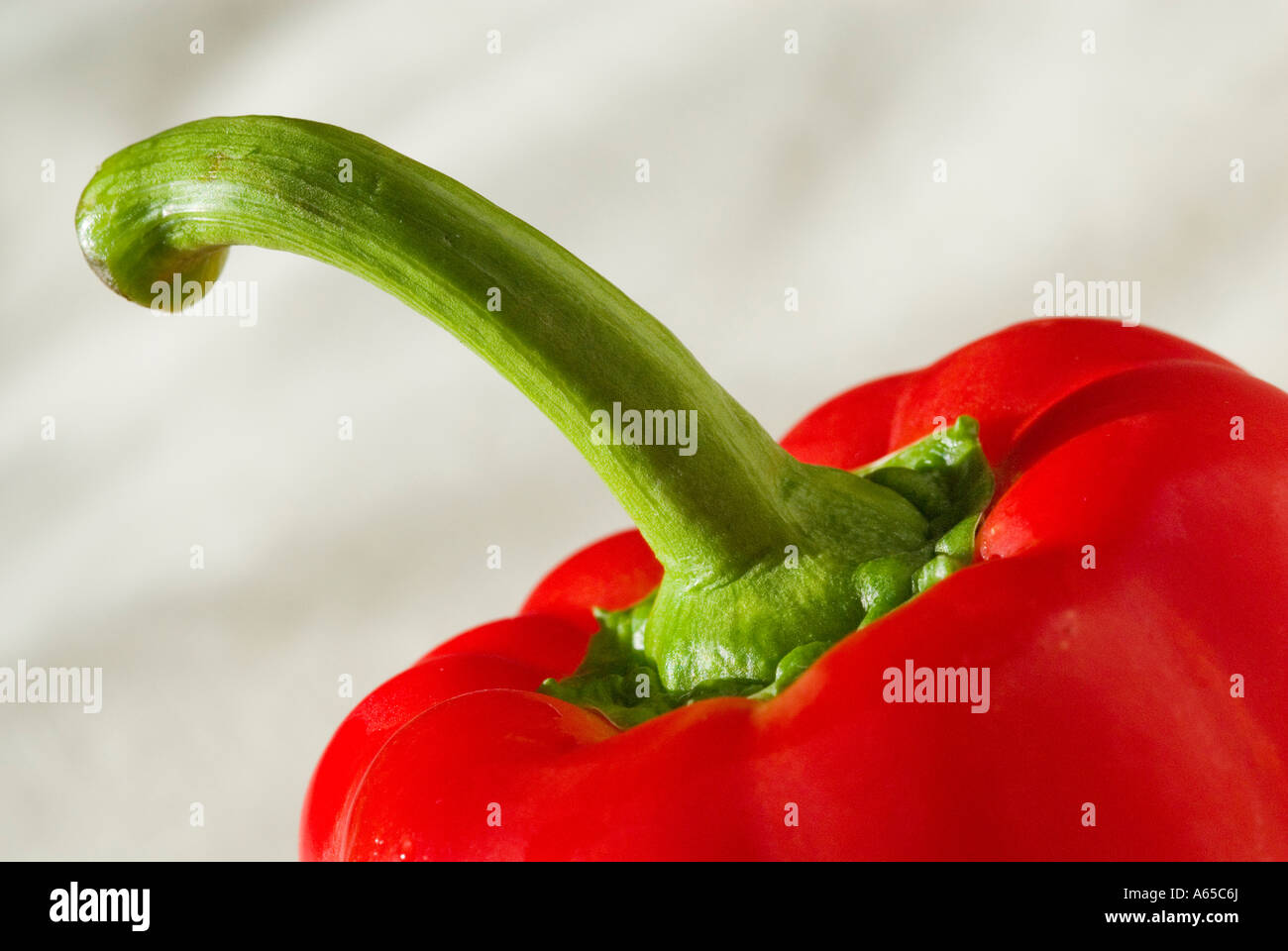 Red Pepper Stalk Stock Photo - Alamy