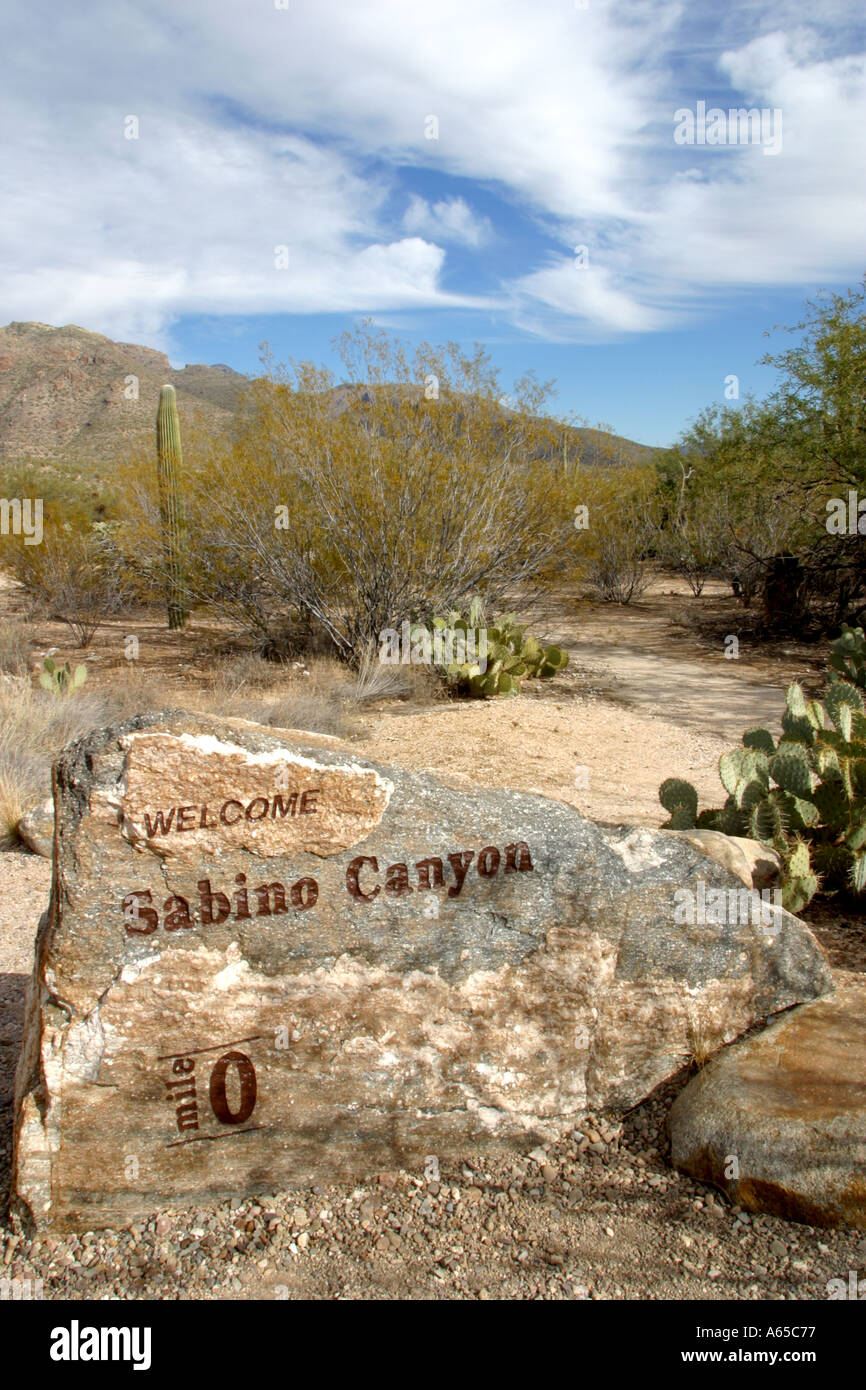 Are Dogs Allowed At Sabino Canyon