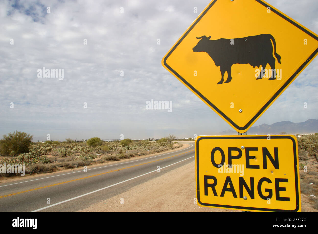 Open range cattle road sign Tucson Arizona USA Stock Photo - Alamy