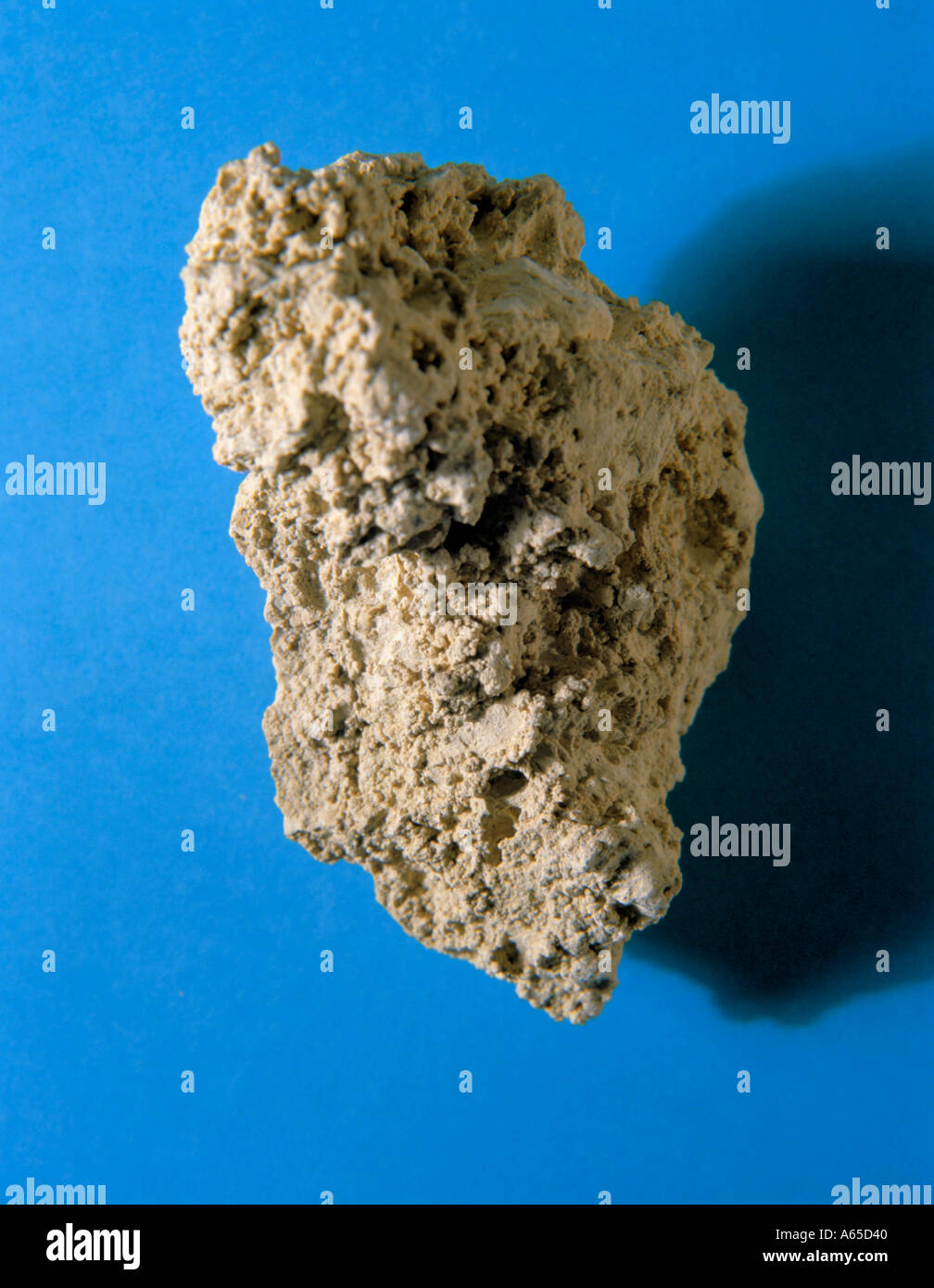 Magnesium limestone brecchia, Co Durham and Tyne and Wear coast, north ...