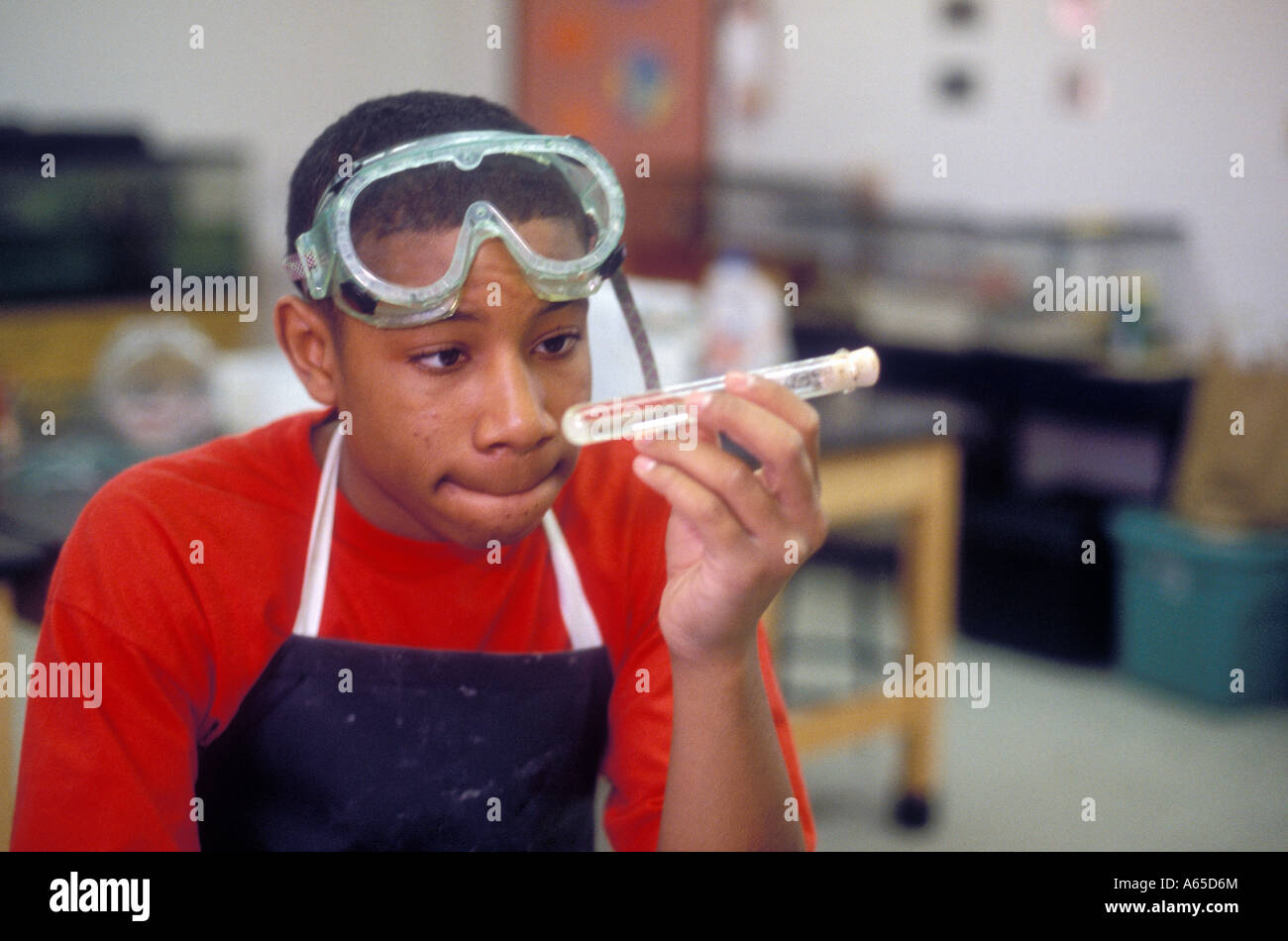 Eighth Grade Science Class Stock Photo - Alamy