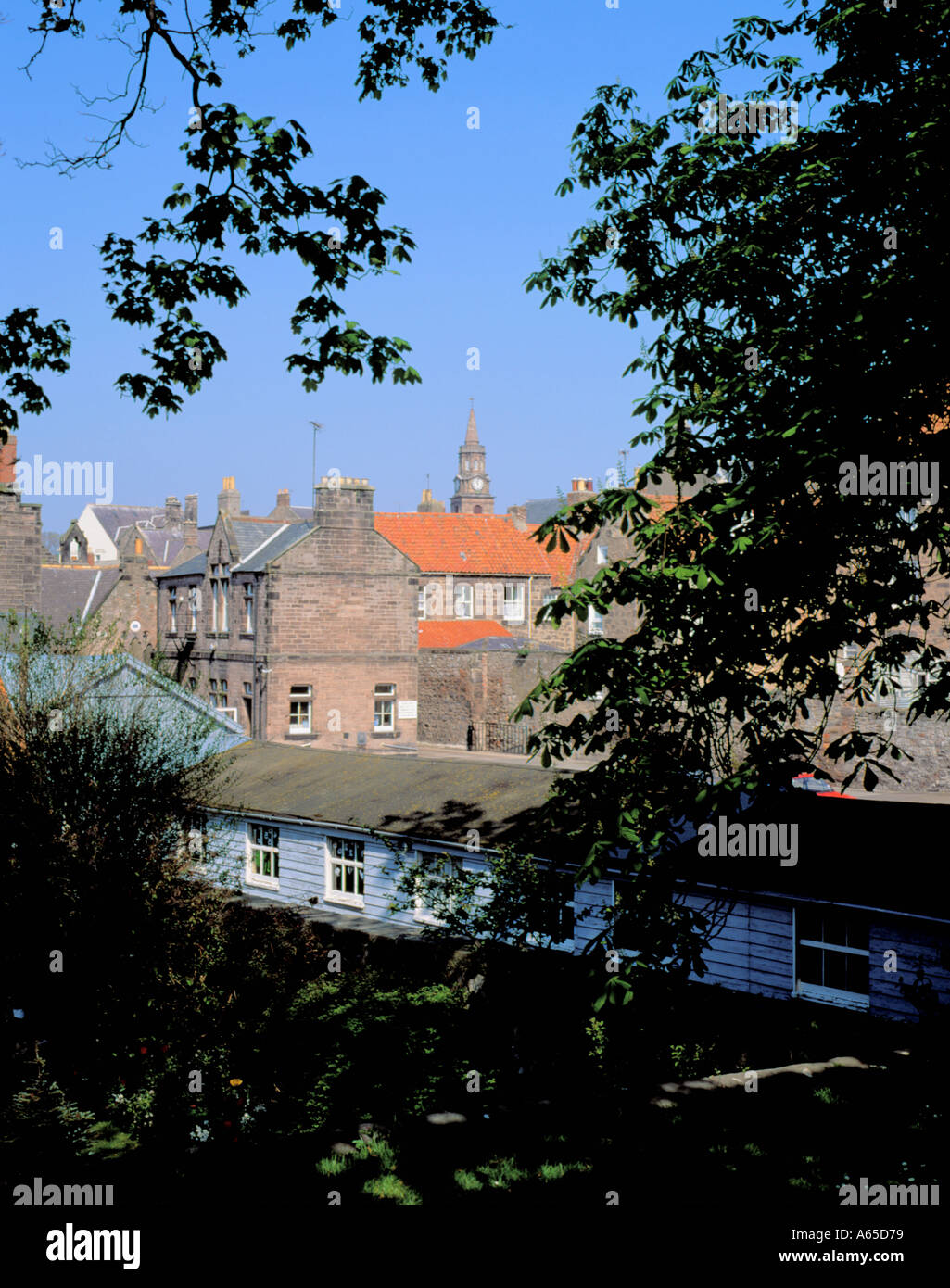 Town Hall tower seen over rooftops, Berwick-upon-Tweed, Northumberland ...