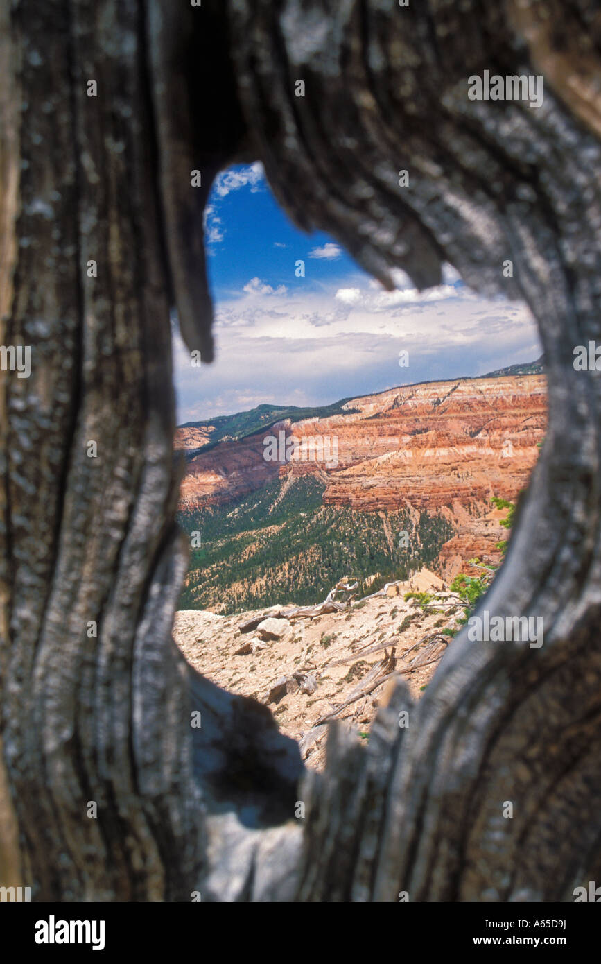 Cedar Breaks National Monument Stock Photo - Alamy
