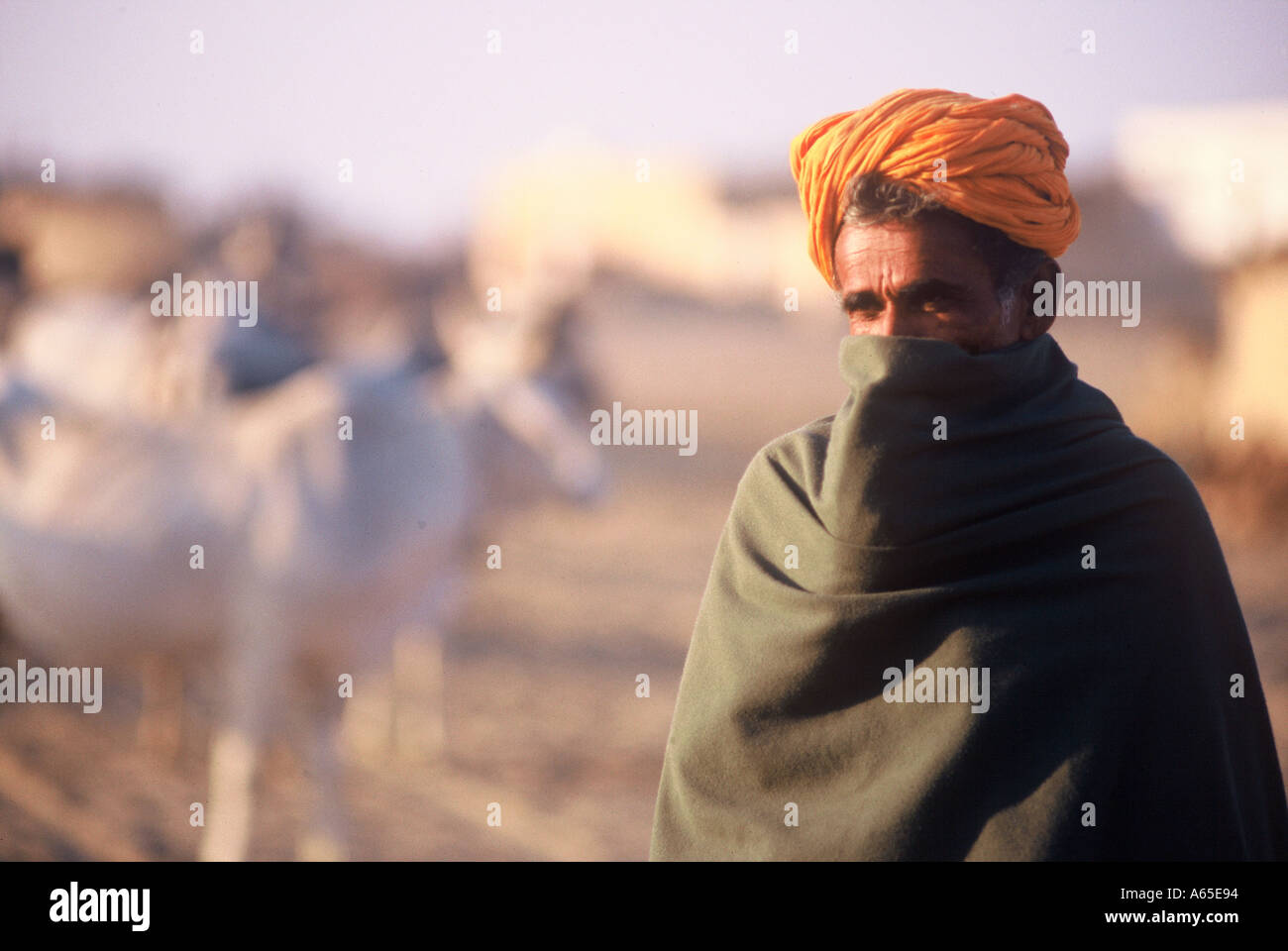 Indian herdsman Jaislamer India Stock Photo - Alamy