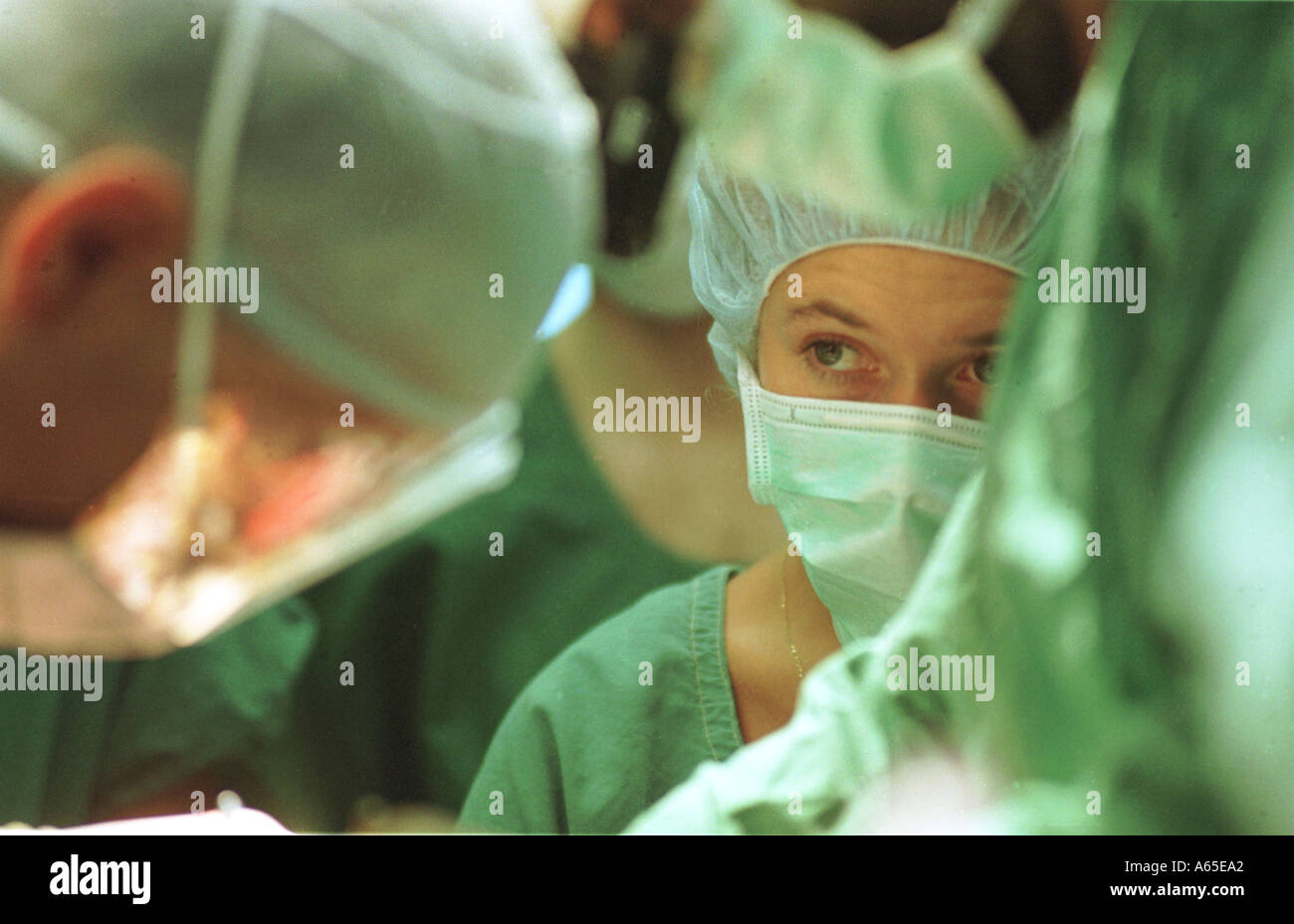 A medical student observes heart surgery Stock Photo - Alamy
