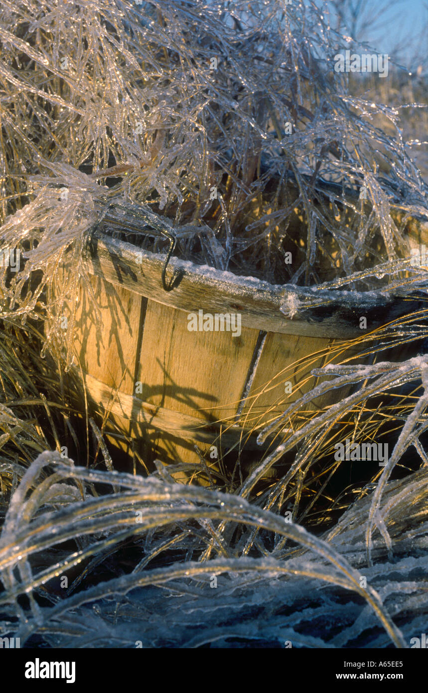 Frozen bushel basket after an ice storm Stock Photo - Alamy