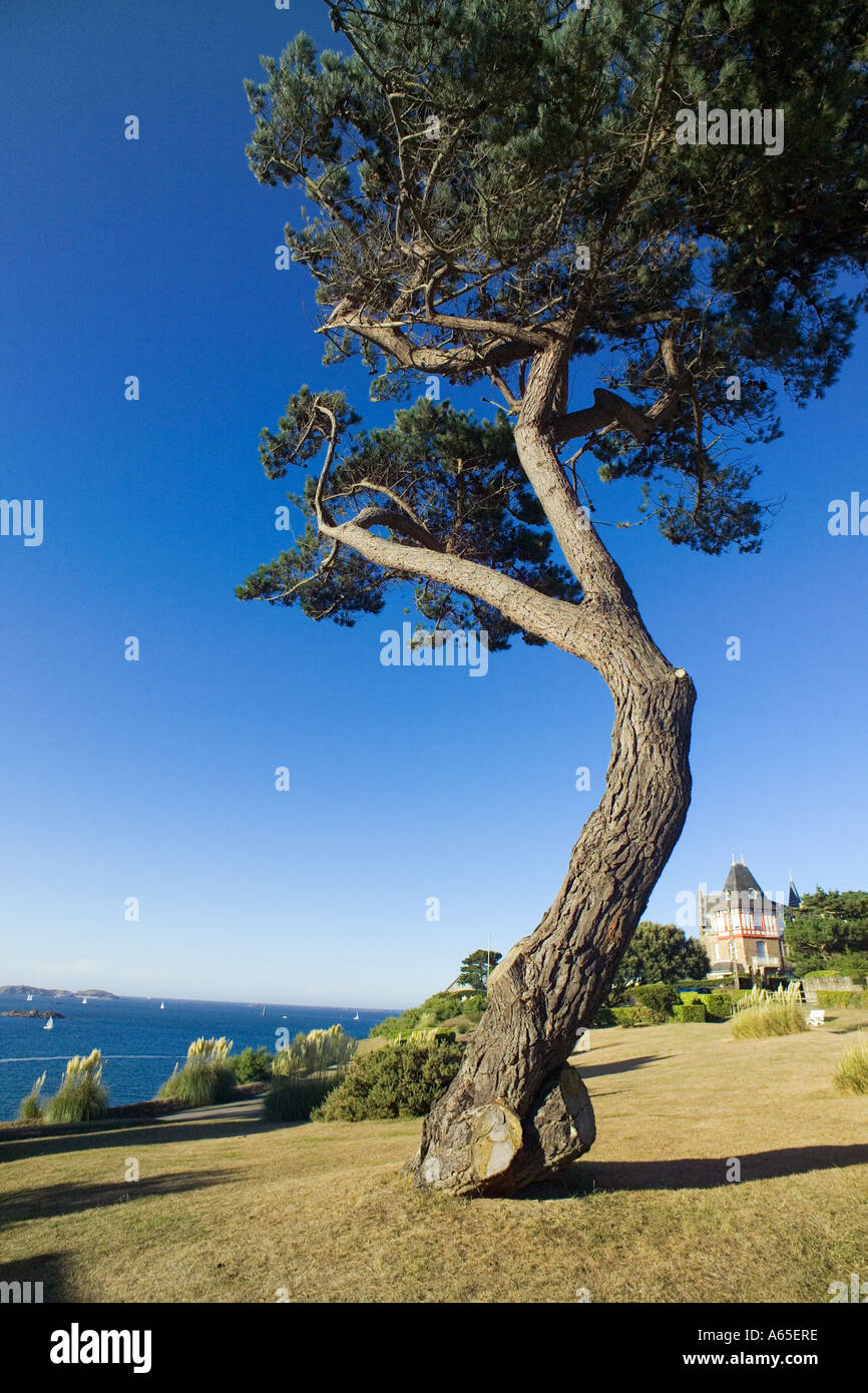 Jardin du port riou garden hi-res stock photography and images - Alamy