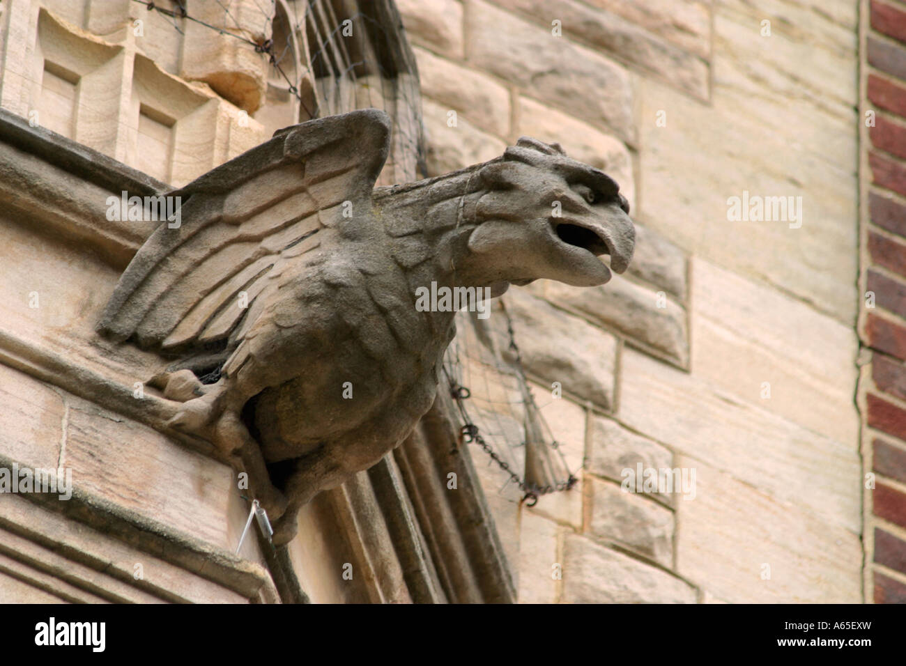 Eagle Gargoyle at Chichester Cathedral, West Sussex, England, UK Stock ...