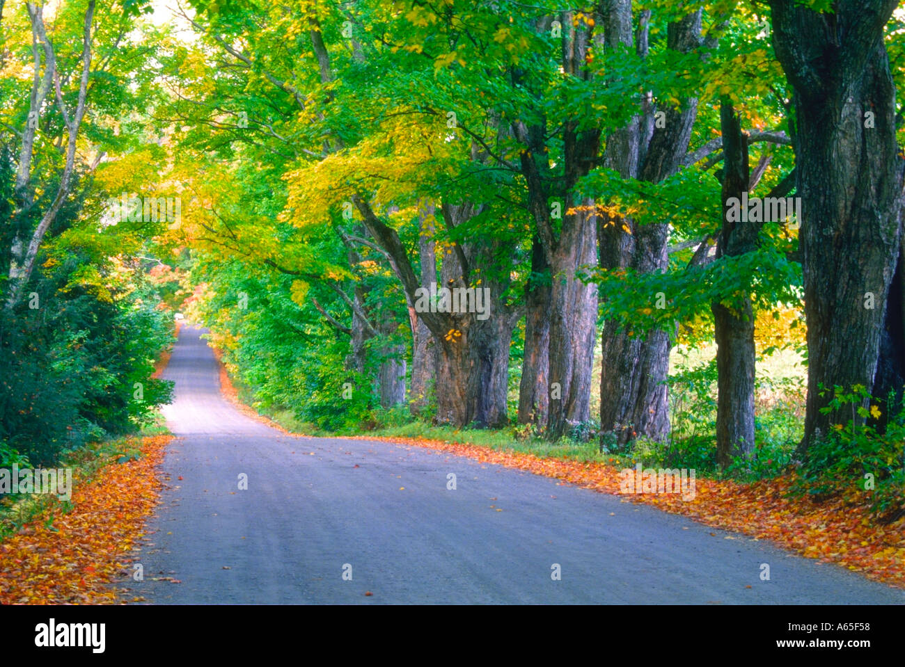 We want our country back hi-res stock photography and images - Alamy