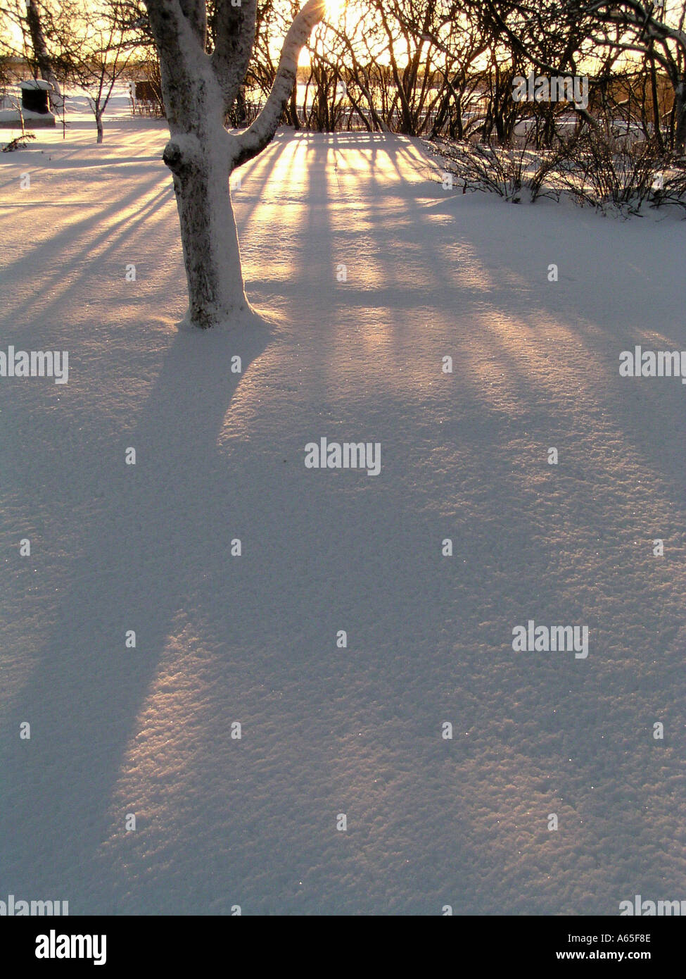 Freezing January morning Stock Photo - Alamy