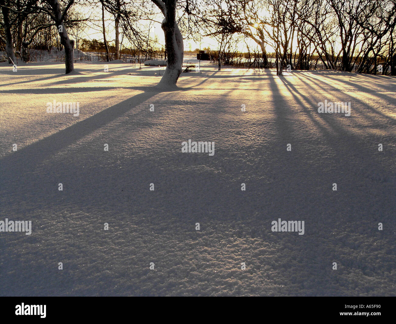 Freezing January morning Stock Photo - Alamy