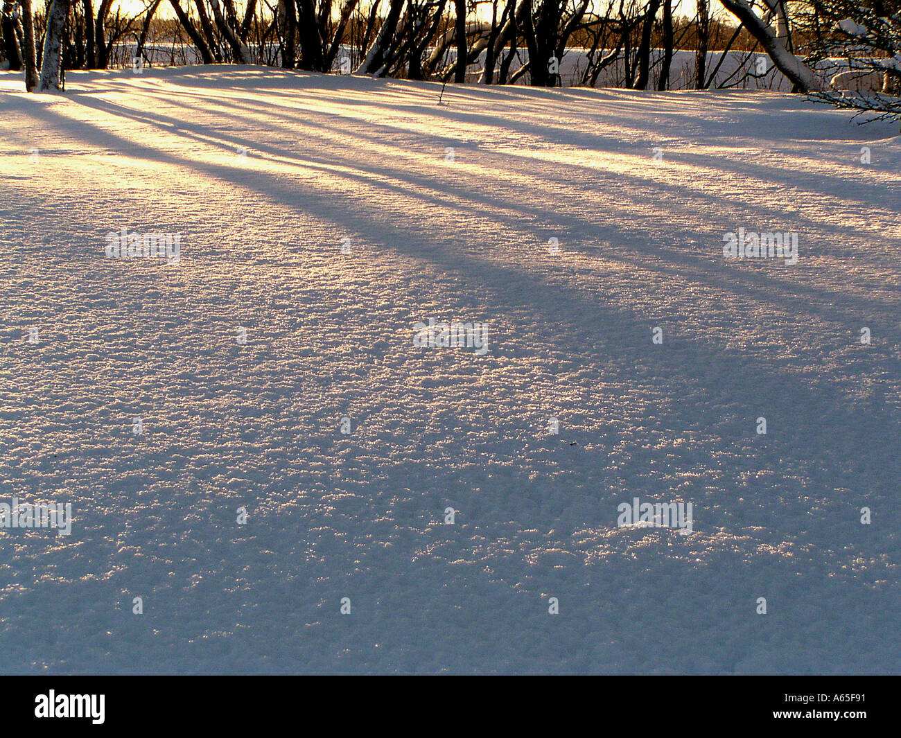 Freezing January morning Stock Photo - Alamy