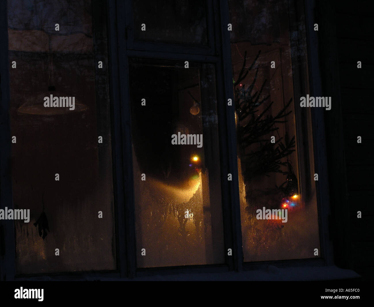Christmas tree inside through the window Stock Photo - Alamy