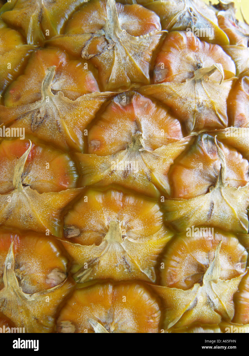 Pineapple close up Stock Photo - Alamy